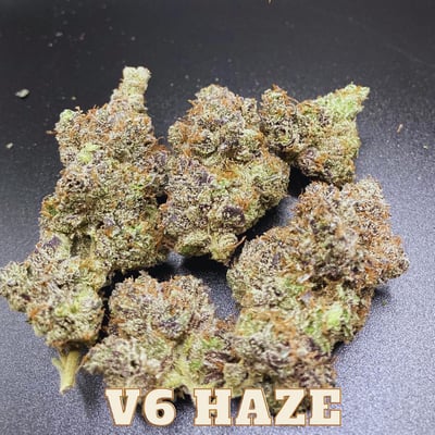 Sweed-D Cannabis shop(ร้านกัญชา) in Songkhla, Thailand - Cannabis in Thailand