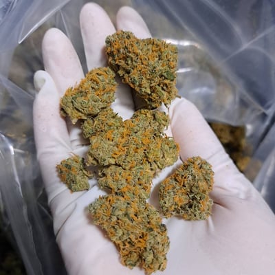 Weed Castle Cannabis Dispensary in Bangkok, Thailand - Cannabis in Thailand