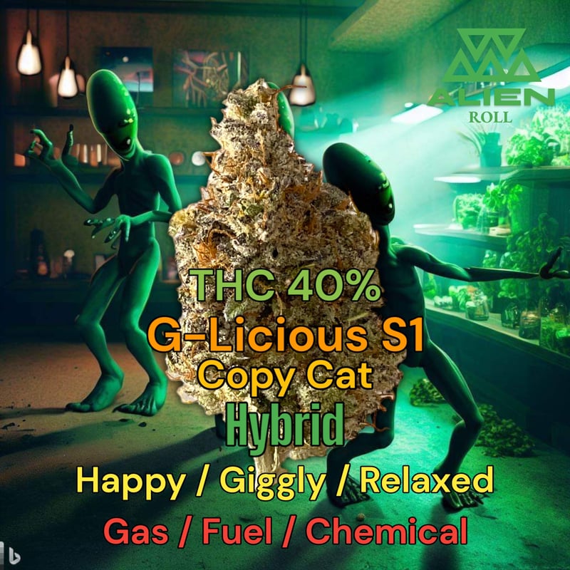 G-Licious S1 Cannabis Flower at Alien Roll (ร้านกัญชา คาเฟ่ นั่งเล่น) in Pathum Thani - Weed in ...