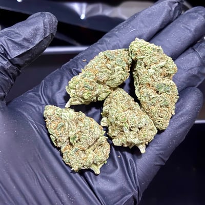 7.00 OG FARM in Bangkok, Thailand - Cannabis in Thailand