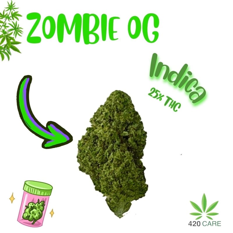 Zombie OG POP Cannabis Flower at 420 Care in Khon Kaen - Weed in Thailand