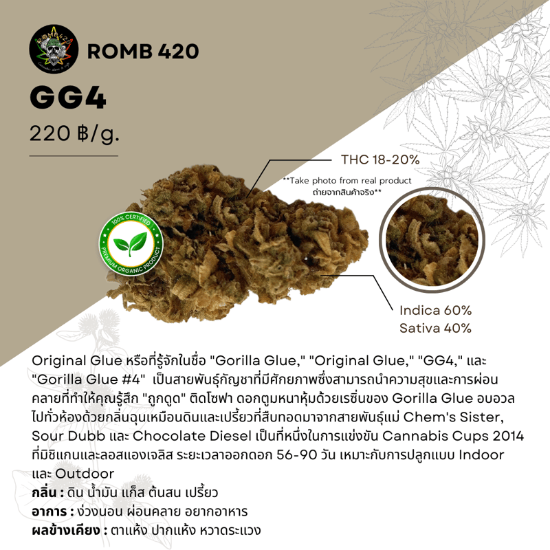 GG4 Cannabis Flower at Romb 420 Cannabis store & cafe in Khon Kaen ...