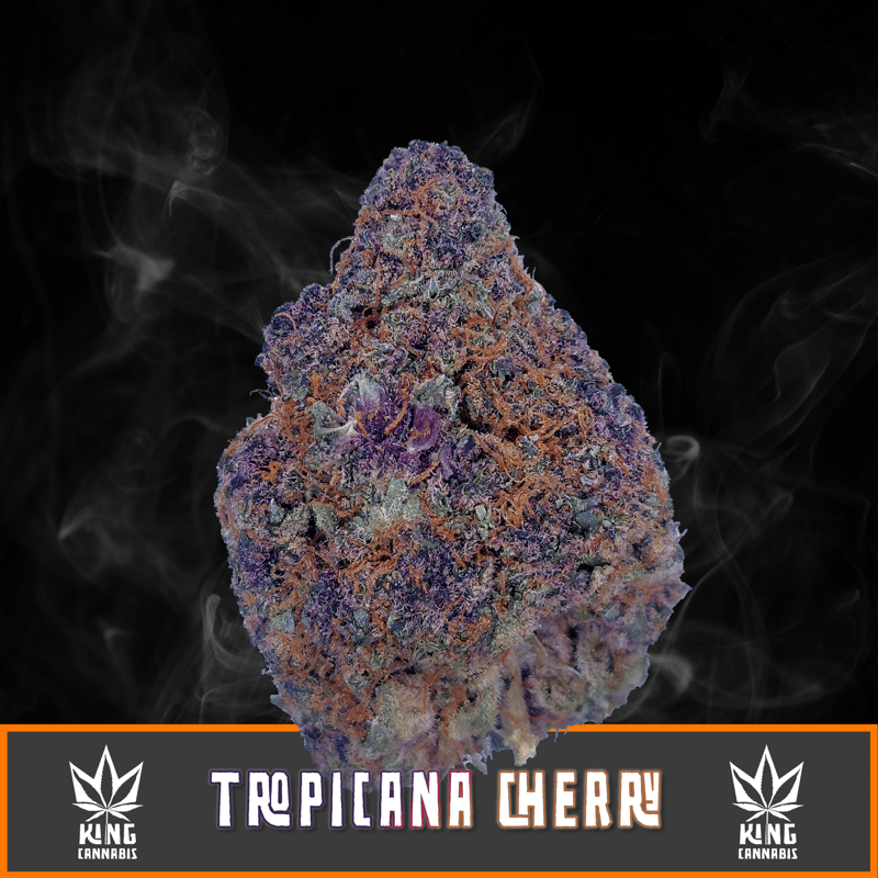 Tropicana Cherry Cannabis Flower at King Cannabis - Weed กัญชา 420 Shop ...
