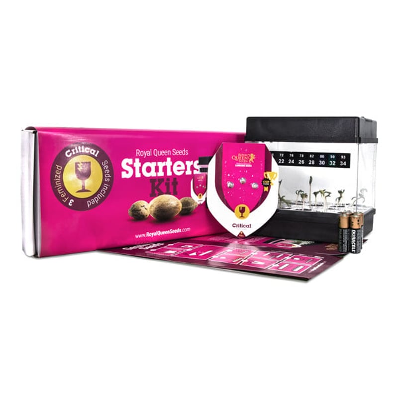 Starter Kit Feminized at Royal Queen Seeds Thailand Dispensary กัญชา 大麻 ...