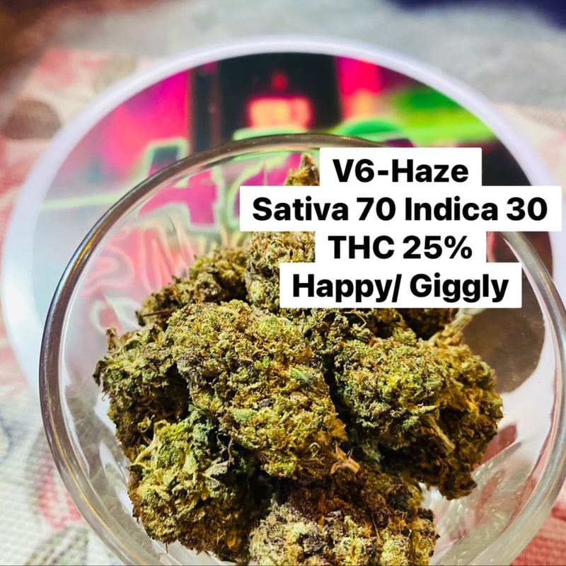 V6 Haze Cannabis Flower at 420 Smokey Phangan in Surat Thani - Weed in Thailand