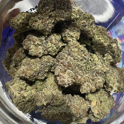 Monster Plant Dispensary in Khon Kaen, Thailand - Cannabis in Thailand