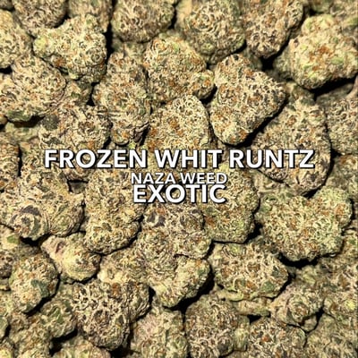 FROZEN WHITE RUNTZ Cannabis Flower at NAZAWEED STORE in Bangkok - Weed ...