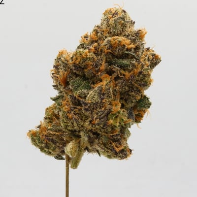 Hippies Land Phi Phi x DANQ Cannabis Dispensary in Krabi, Thailand ...