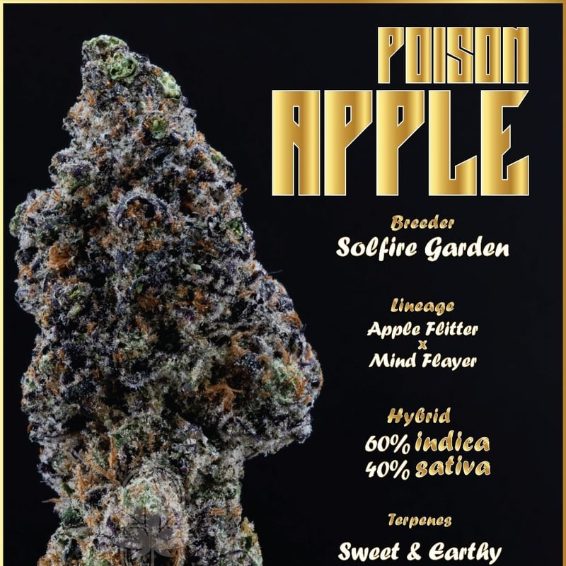 Poison apple Cannabis Flower at Tarcel medical in Nonthaburi - Weed in ...