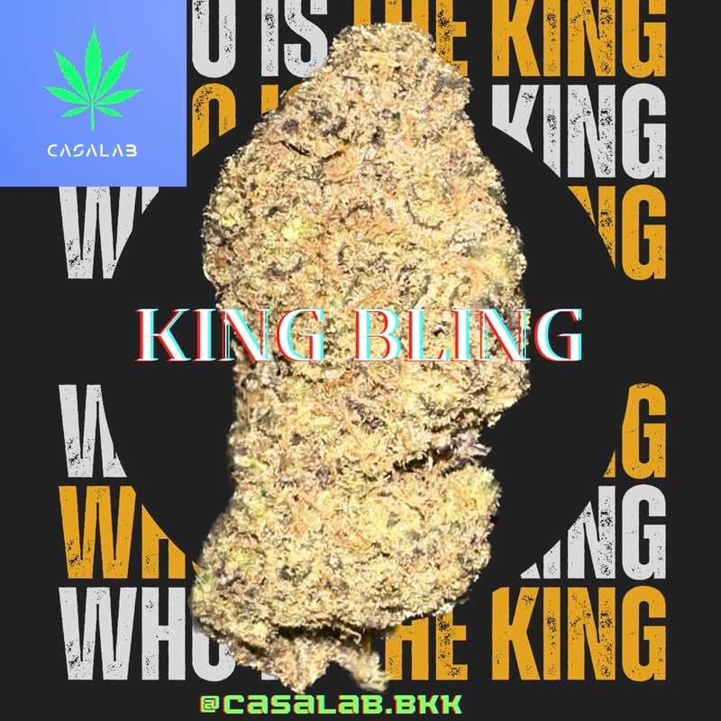 King Bling Cannabis Flower at Casalab in Bangkok - Weed in Thailand