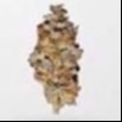 Mellow’s weed in Bangkok, Thailand - Cannabis in Thailand