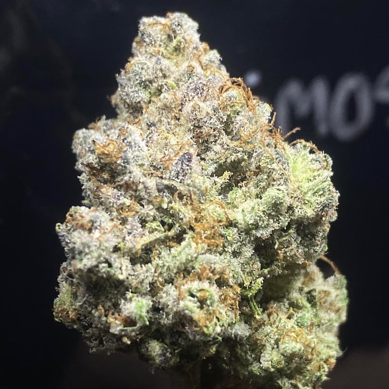 Limosa Cannabis Flower at Bubba Cannabis Homegrow Nonthaburi in Nonthaburi - Weed in Thailand