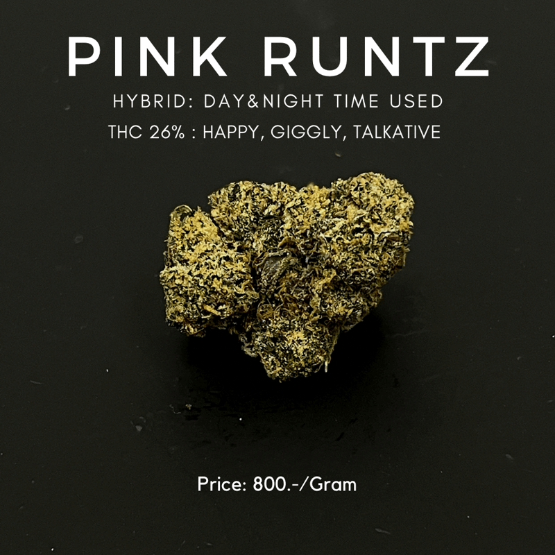 Pink runtz Cannabis Prerolls at Cannabis SP Shop in Bangkok - Weed in ...