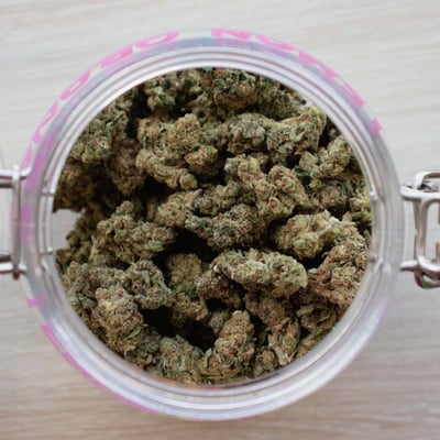 WEED LEMON ORANGE Cannabis Flower at Amsterdam Coffee Shop | Weed Store ...