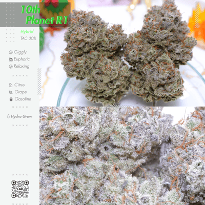 NUG LAB - Cannabis Dispensary | Medical & Play (Rayong) in Rayong ...