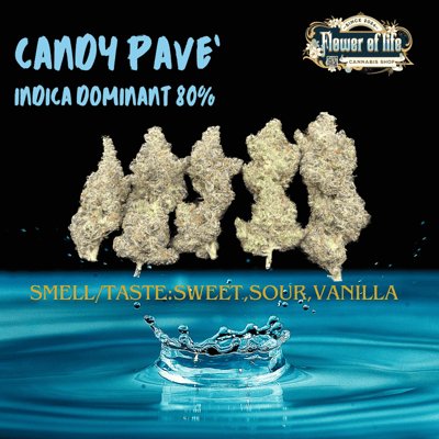 Sweed-D Cannabis shop(ร้านกัญชา) in Songkhla, Thailand - Cannabis in ...