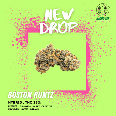 Boston Runtz Cannabis Flower at Highover BKK in Bangkok - Weed in Thailand