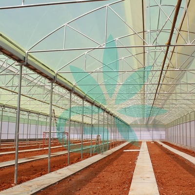 THCG Holding CO.,LTD. in Bangkok, Thailand - Cannabis in Thailand