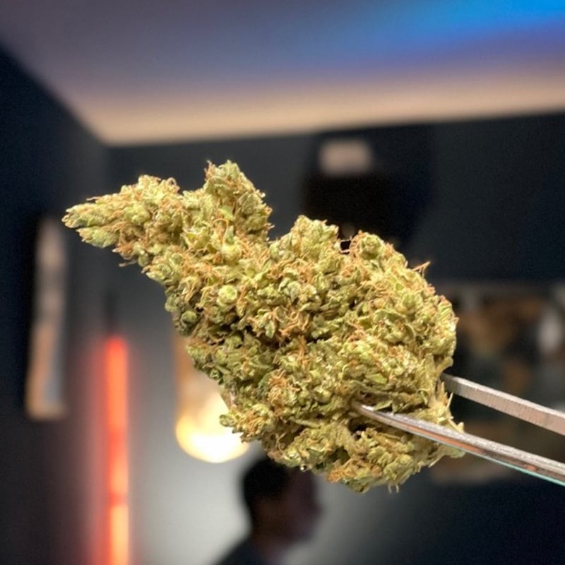 Beast Mode Weed