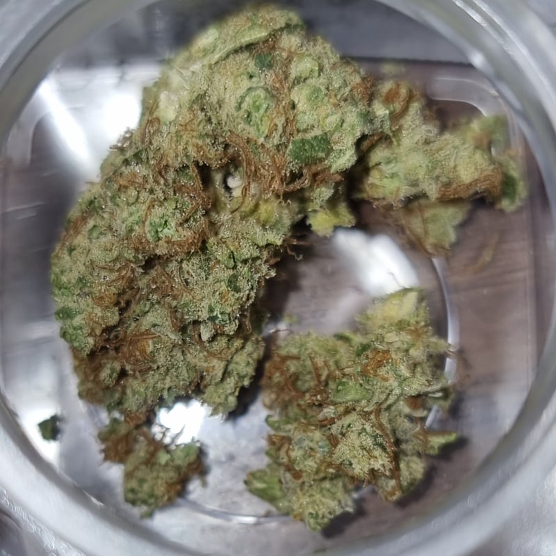 Super silver haze Cannabis Flower at Wichai Paipar Jomtien in Pattaya ...