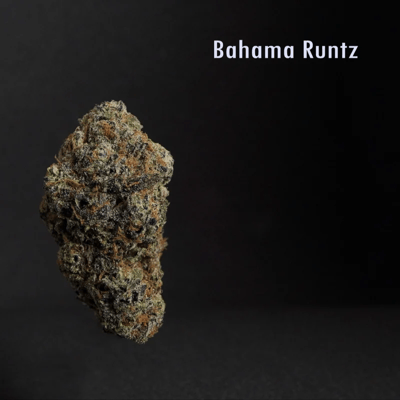 Hempmade - Cannabis Store & Chillin Hub/ 大麻店/ Weed Dispensary & Lounge ...