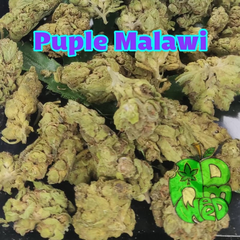 Puple Malawi's Cannabis Flower at ADAM WEED SHOPกัญชารู้กัญ in Samut ...